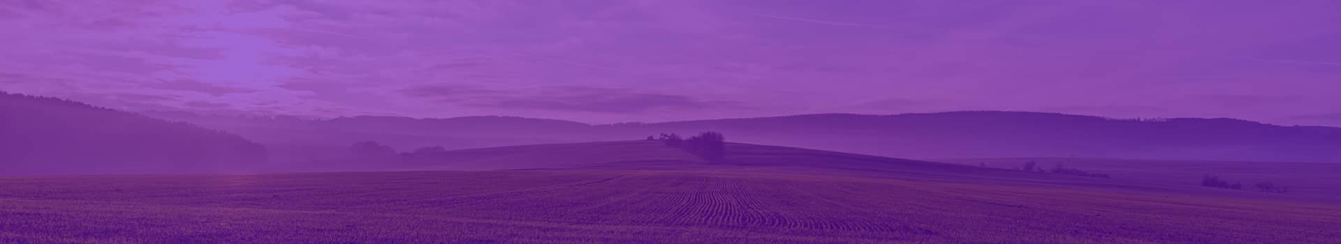 Resources – Here I am Orphan Ministries